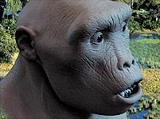 Nacimiento y historia de la Tierra: Comprender nuestro Universo